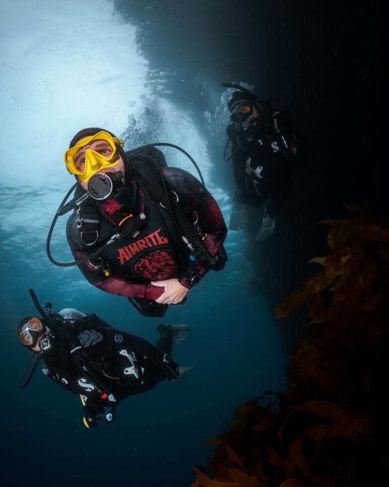 Explore Deeper with PADI Advanced Diving Certification – PARADIVE INDONESIA